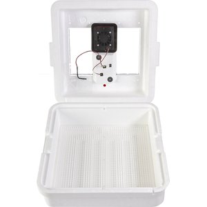 FARM INNOVATORS Still Air Digital Bird Incubator - Chewy.com