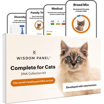 Wisdom Panel Dog DNA Breed & Health Test Kits - Free Shipping | Chewy