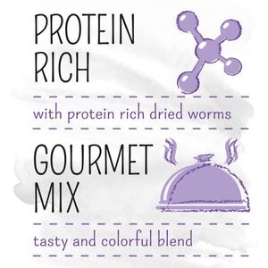 10 Best Rat Foods 2024: According to Reviews | Chewy