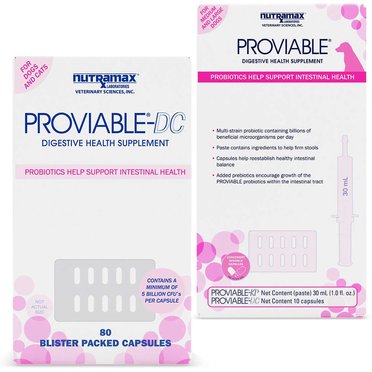 Nutramax Proviable - Free shipping | Chewy