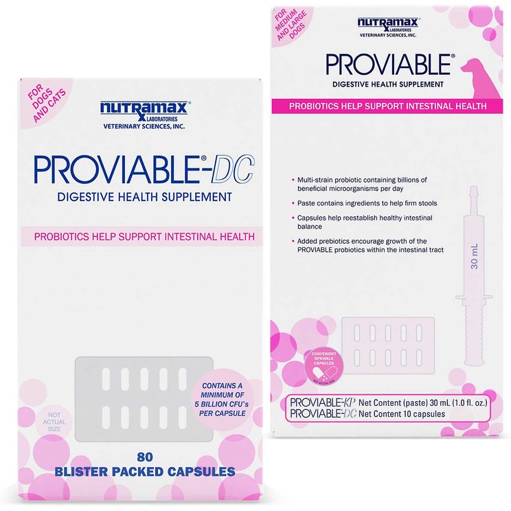 Nutramax Proviable - Free shipping | Chewy