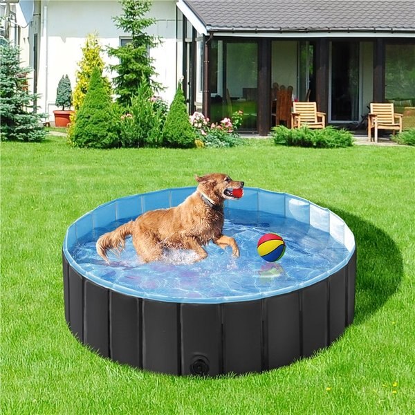 YAHEETECH Foldable Outdoor Hard Plastic Dog & Cat Swimming Pool, Black ...