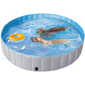 4 Best Dog Pools 2024: According to Reviews | Chewy