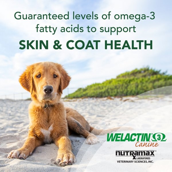 NUTRAMAX Welactin Omega-3 Liquid Skin & Coat Supplement for Dogs, 16-fl ...