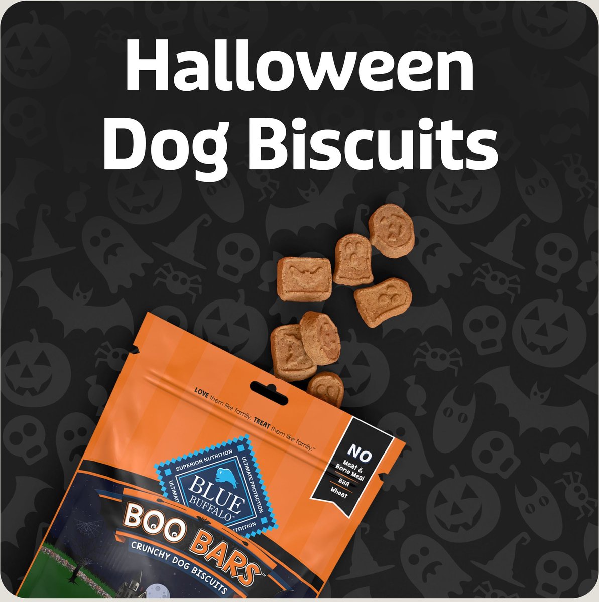 BLUE BUFFALO Boo Bars Pumpkin & Cinnamon Crunchy Dog Treats, 11-oz bag ...