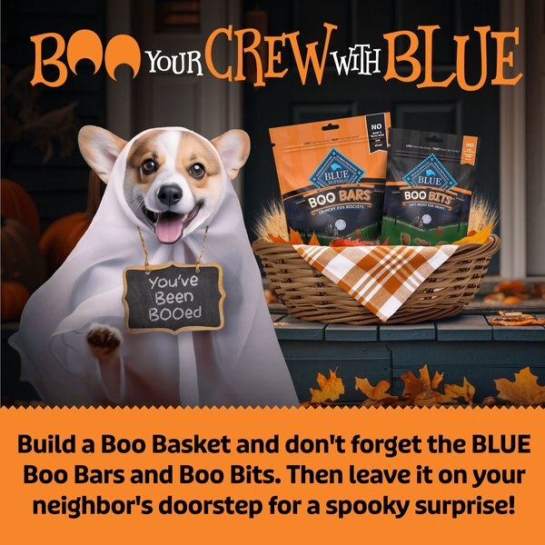 BLUE BUFFALO Boo Bits Tasty Chicken Recipe Soft & Chewy Halloween Dog ...