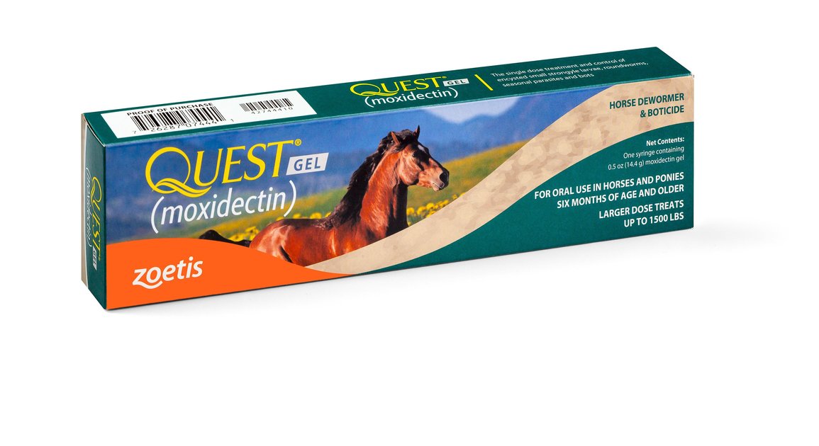 QUEST Gel Dewormer & Boticide for Horses & Ponies, 4 count - Chewy.com