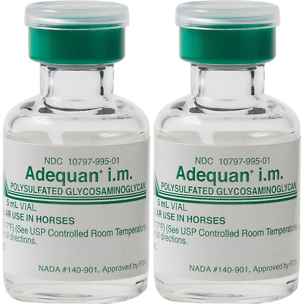 ADEQUAN EQUINE (polysulfated glycosaminoglycan) Injectable for Horses ...