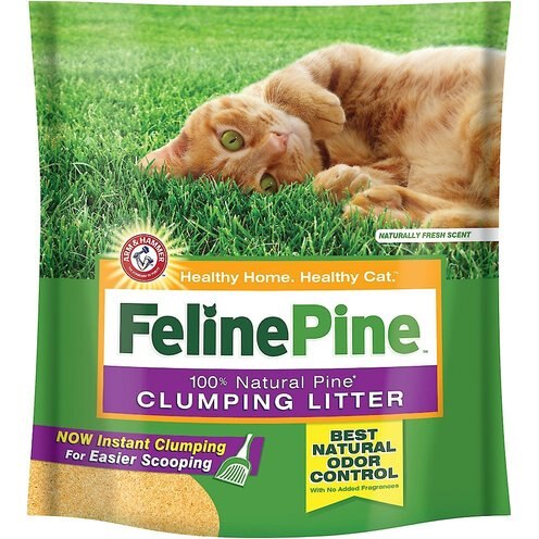 Feline Pine - Free shipping | Chewy