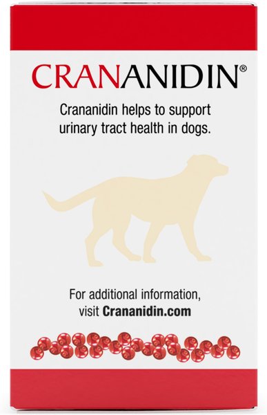 NUTRAMAX Crananidin Chewable Tablets Urinary Supplement for Dogs, 150 ...