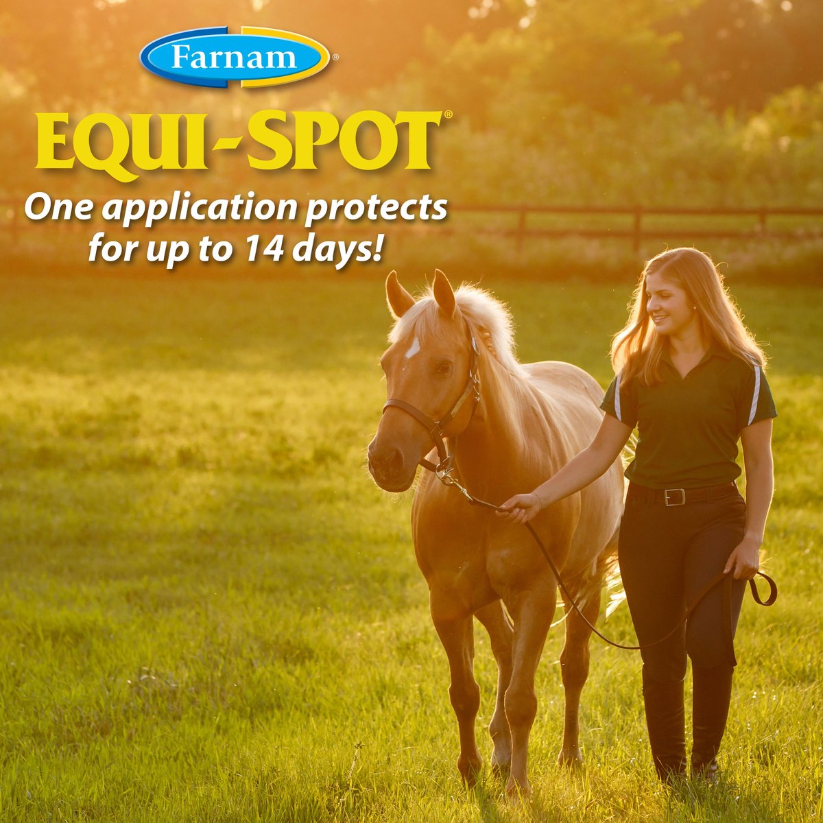 FARNAM Equi-Spot Horse Spot-On Fly Control, 24 treatments - Chewy.com