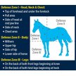 FARNAM Equi-Spot Horse Spot-On Fly Control, 24 treatments - Chewy.com