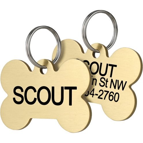 PERSONALIZED DOG TAGS FOR SMALL DOGS (Free Shipping) | Chewy