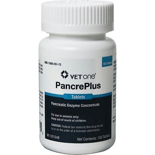 PancrePlus - Free shipping | Chewy