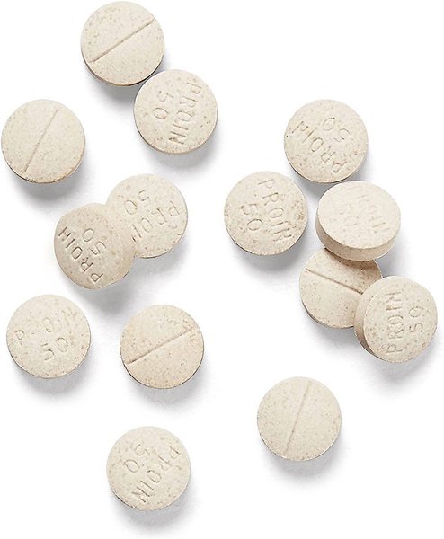 PROIN (phenylpropanolamine hydrochloride) Chewable Tablets for Dogs, 50 ...