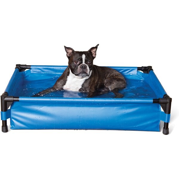 PET ADOBE Foldable Dog Pool, Blue, Large - Chewy.com