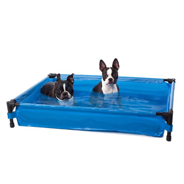 K&H PET PRODUCTS Dog Pool & Pet Bath, Blue, Large - Chewy.com