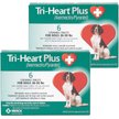 TRI-HEART PLUS Chewable Tablet for Dogs, 26-50 lbs, (Green Box), 12 ...