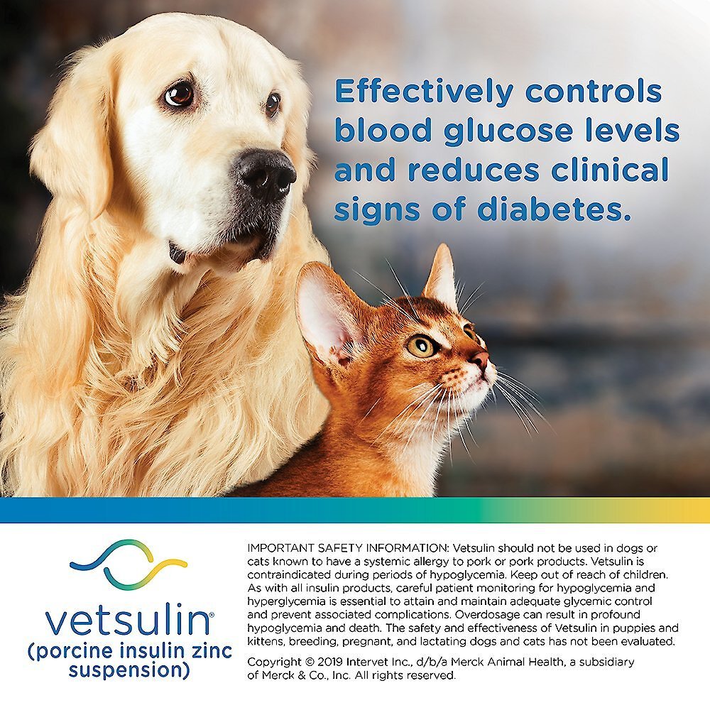 VETSULIN (porcine insulin zinc suspension) U-40 Injectable for Dogs ...