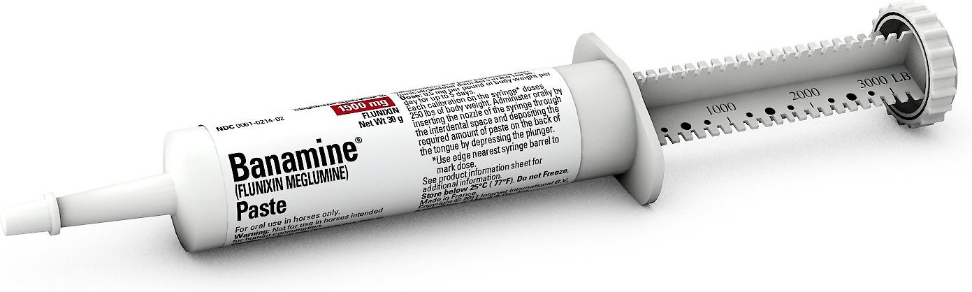 BANAMINE (flunixin meglumine) Paste for Horses, 30-gm syringe, bundle ...