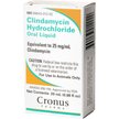 CLINDAMYCIN HCl (Generic) Oral Drops for Dogs & Cats, 25 mg/mL, 20-mL ...