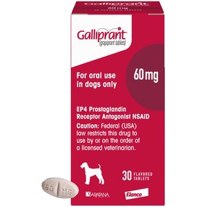 GALLIPRANT (grapiprant) Tablets for Dogs, 60-mg, 30 tablets - Chewy.com
