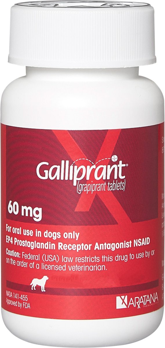 GALLIPRANT (grapiprant) Tablets for Dogs, 60-mg - Easy Refills | Chewy Rx