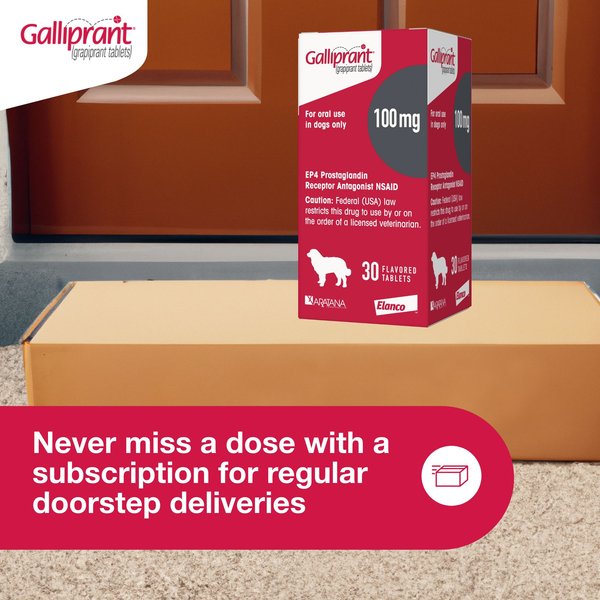 GALLIPRANT (grapiprant) Tablets for Dogs, 100-mg, 30 tablets - Chewy.com