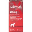 GALLIPRANT (grapiprant) Tablets for Dogs, 20-mg, 60 tablets - Chewy.com