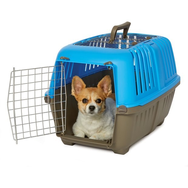 PLASTIC CAT CARRIERS (Free Shipping) | Chewy