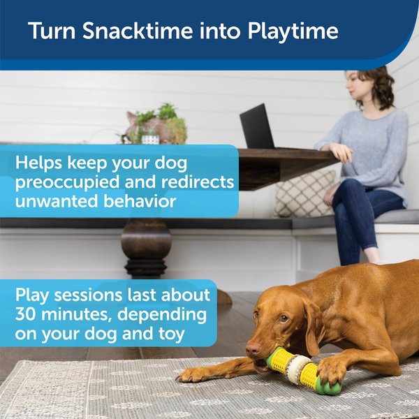 Temporarily Unavailable - PETSAFE Busy Buddy Peanut Butter & Rawhide ...