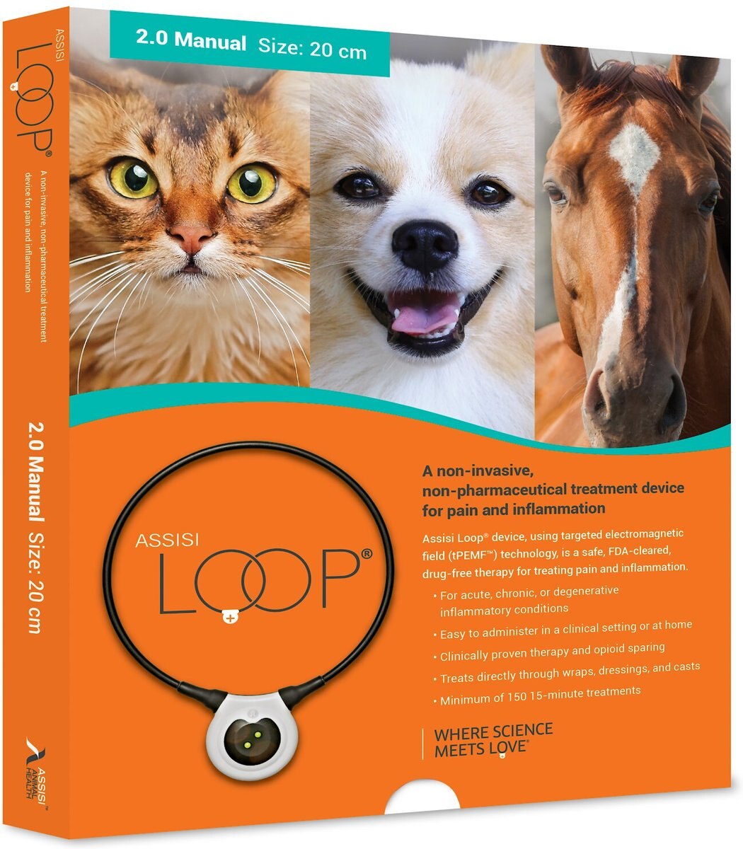 ASSISI ANIMAL HEALTH 2.0 Manual Dog & Cat Loop, 20-cm - Chewy.com