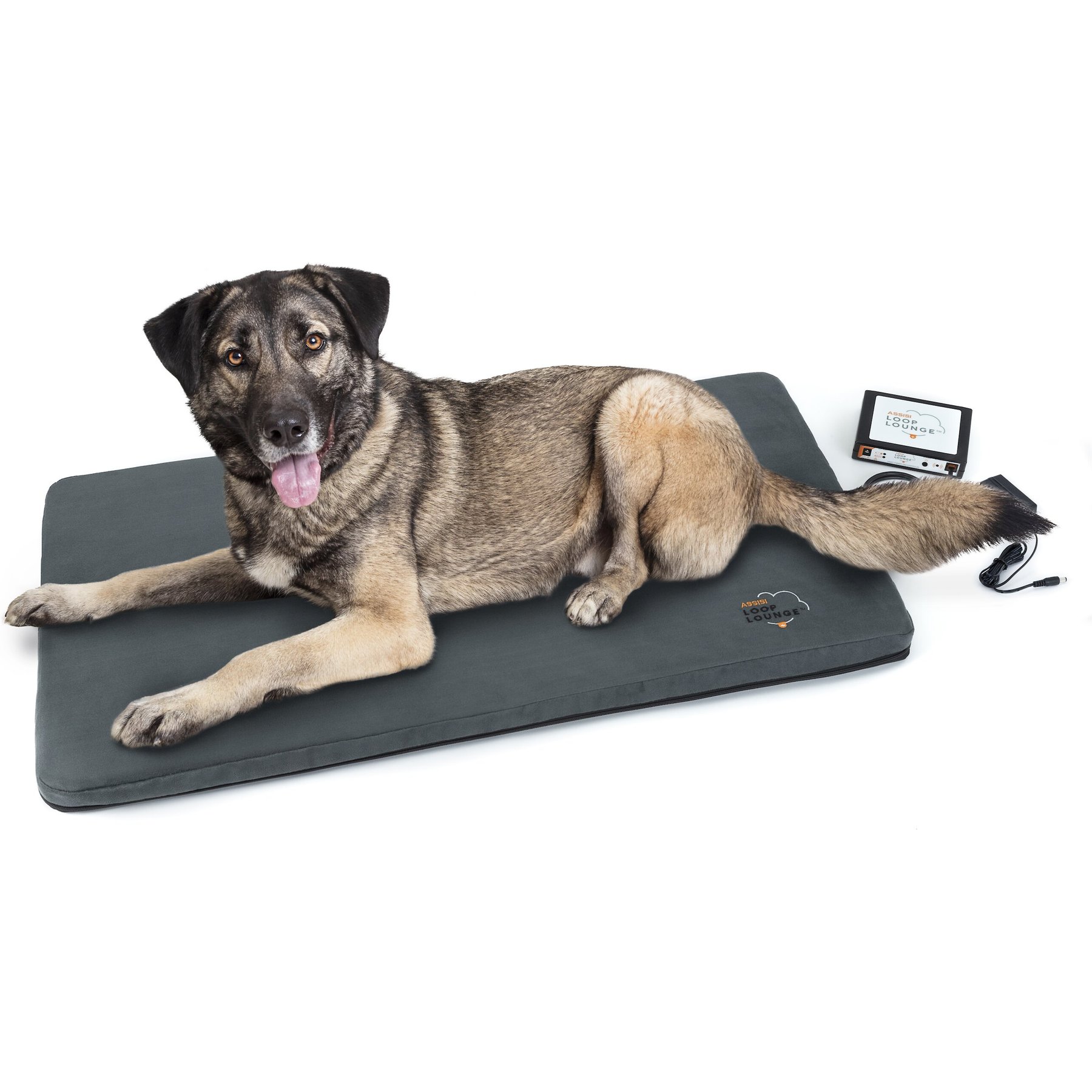 ASSISI ANIMAL HEALTH Loop Lounge tPEMF Dog & Cat System, Large - Chewy.com