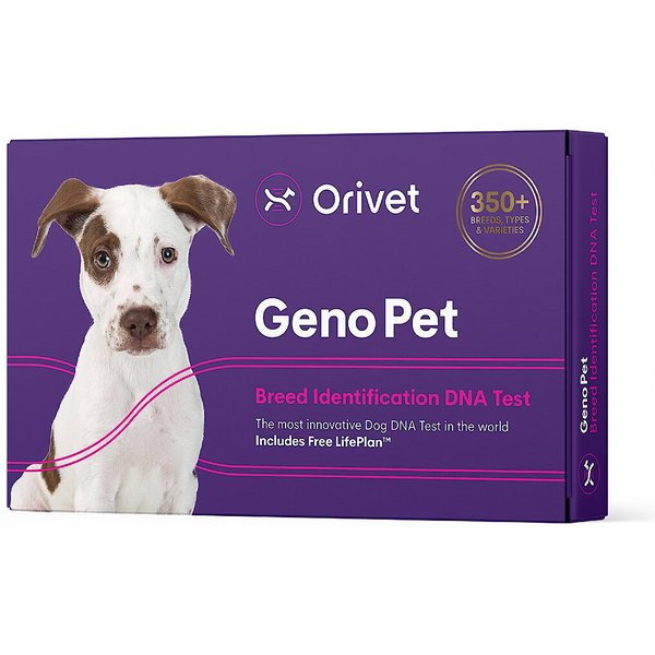 ORIVET Geno Pet Plus Dog DNA Breed Identification + Health Test - Chewy.com