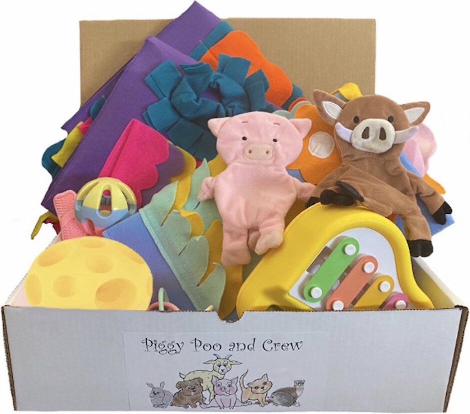 PIGGY POO AND CREW Pig Box Treat & Toy Kit, Pink - Chewy.com