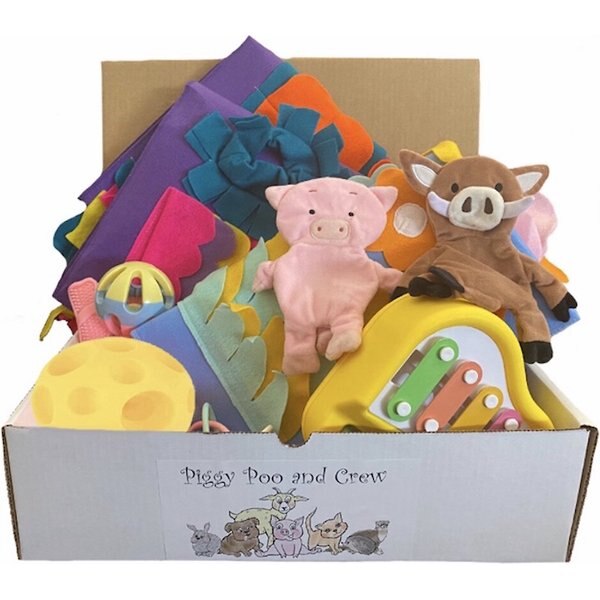 PIGGY POO AND CREW Pig Box Treat & Toy Kit, Pink - Chewy.com