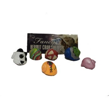 CC Pet - Free shipping | Chewy