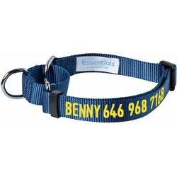 Personalized Dog Products: Custom Dog Accessories (Free Shipping) | Chewy