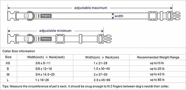 BLUEBERRY PET Spring Scent Rose Floral Personalized ID Dog Collar ...