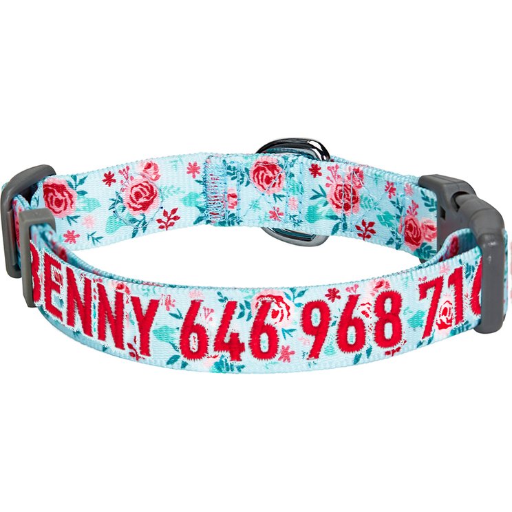 Simple Dog Collars - Page 10 (Free Shipping) | Chewy