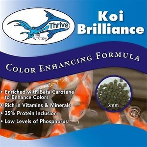 BLACKWATER PREMIUM KOI AND GOLDFISH FOOD Color Enhancing Medium Pellet ...