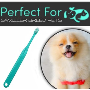 10 Best Dog Toothbrushes 2025: According to Reviews | Chewy