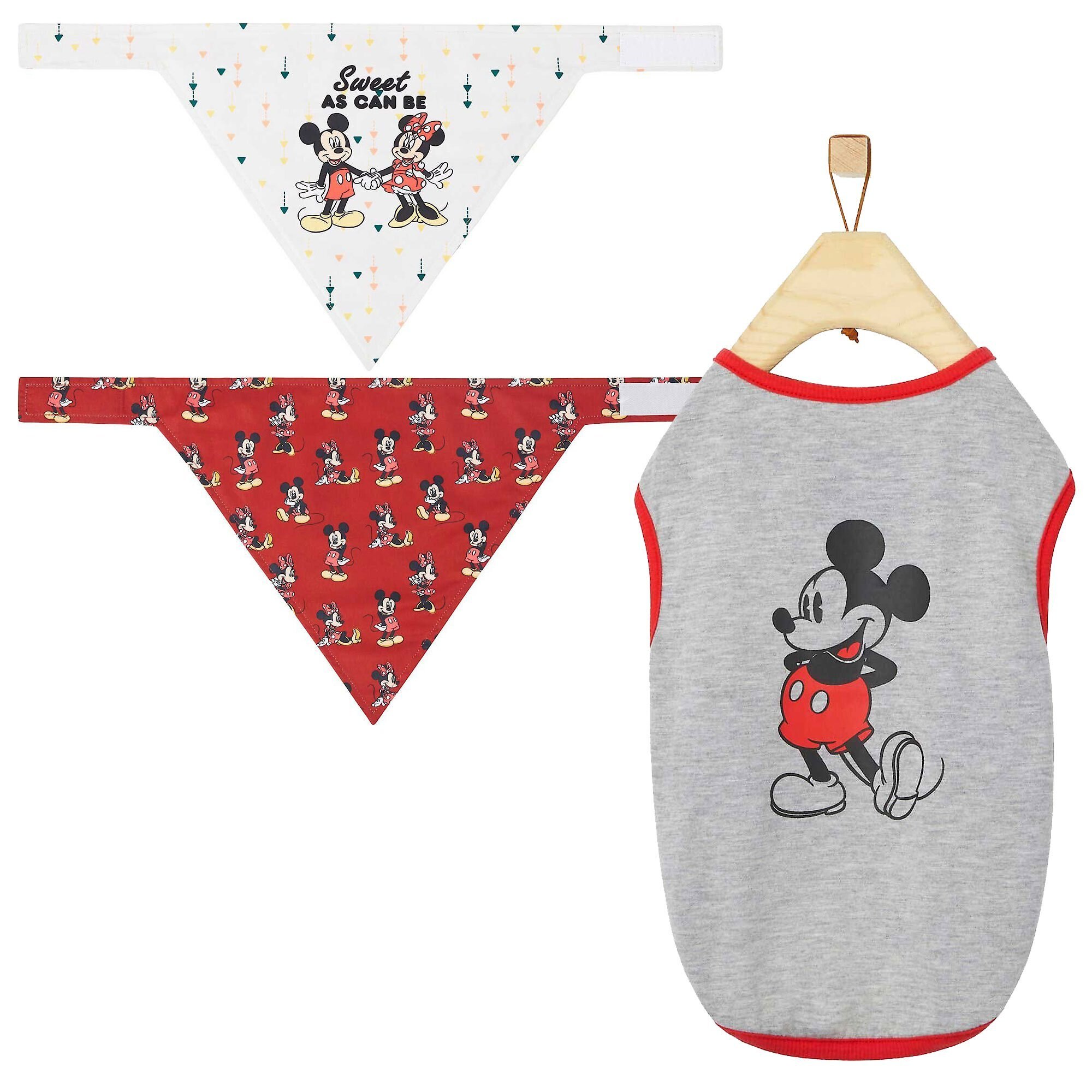 Questions and Answers about DISNEY Mickey Mouse & Minnie Mouse "Sweet ...