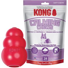 KONG Dog Chew Toys (Free Shipping) | Chewy