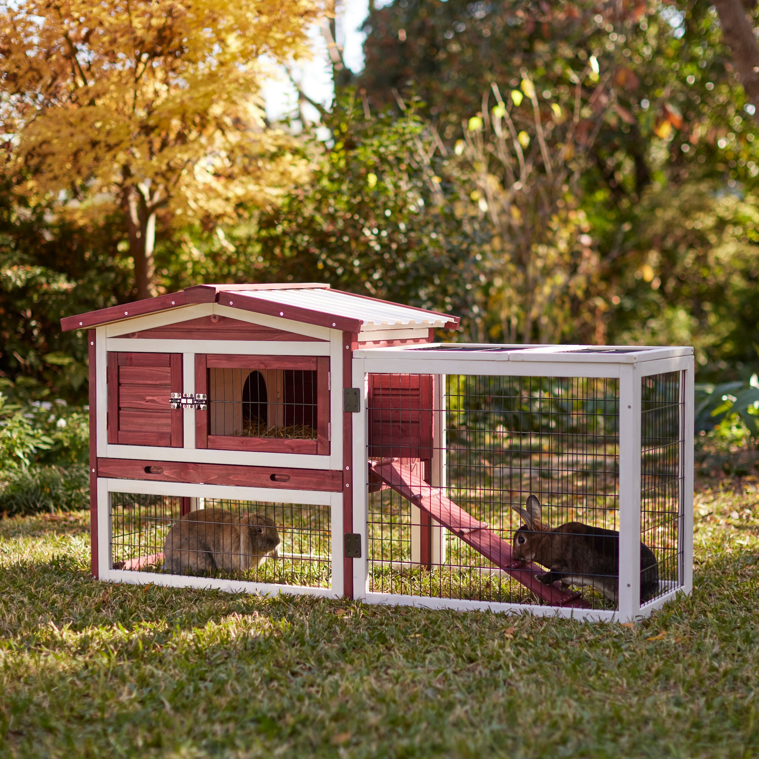 Questions and Answers about FRISCO Wooden Outdoor Rabbit Hutch