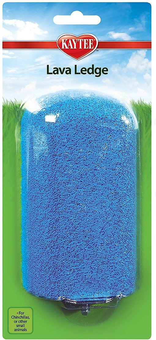 KAYTEE Lava Ledge Small Animal Toy, Color Varies, 3 count - Chewy.com