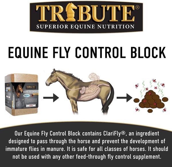 TRIBUTE EQUINE NUTRITION Equine Fly Control Block Horse Supplement, 33 ...