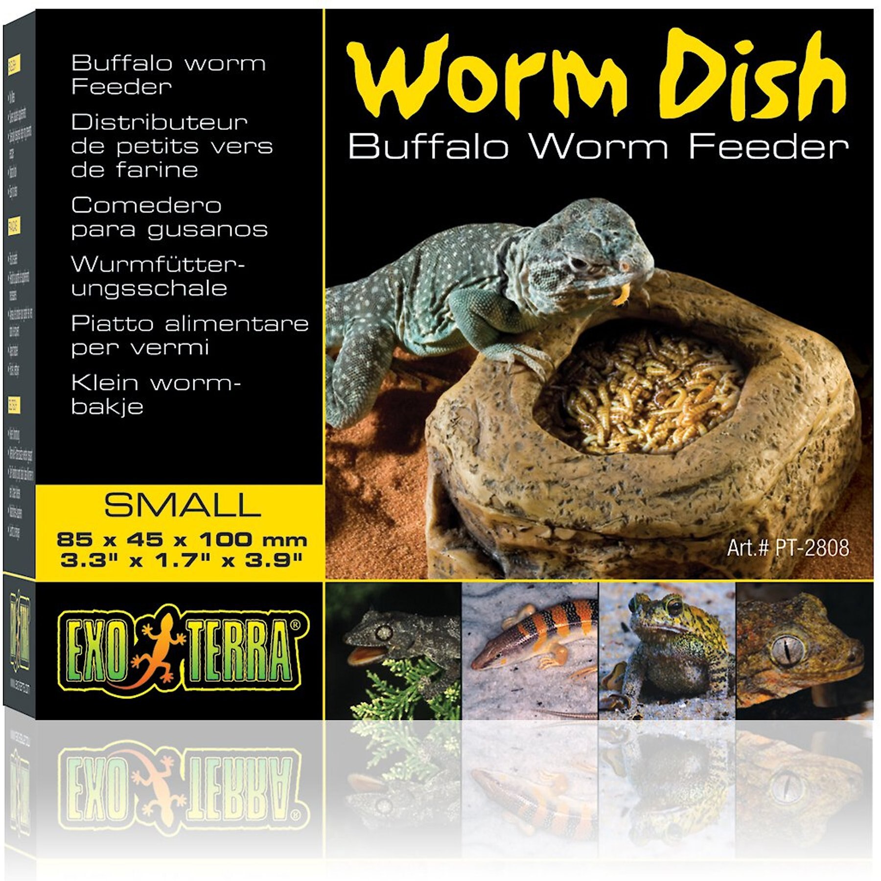 EXO TERRA Reptile Worm Feeder, Small - Chewy.com