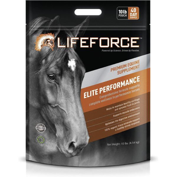 BUCKEYE NUTRITION Ultimate Recovery Extruded Performance Pellets Horse ...
