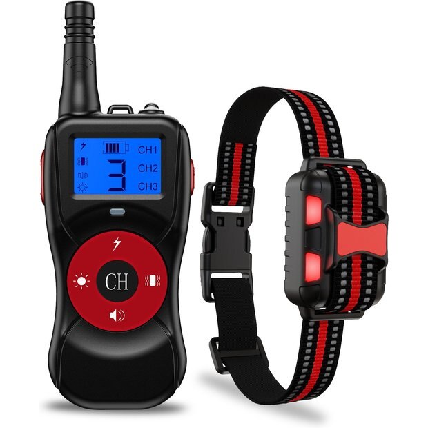 Dog Training & Tech Collars - Free shipping | Chewy
